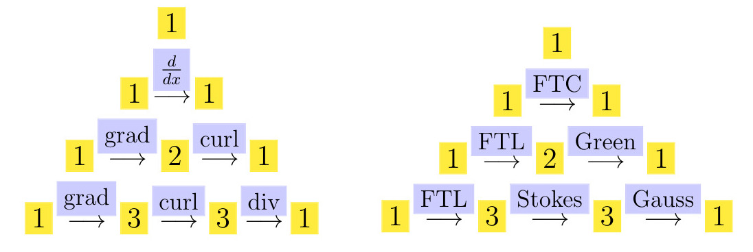 Geometries and Fields - Quantum Calculus