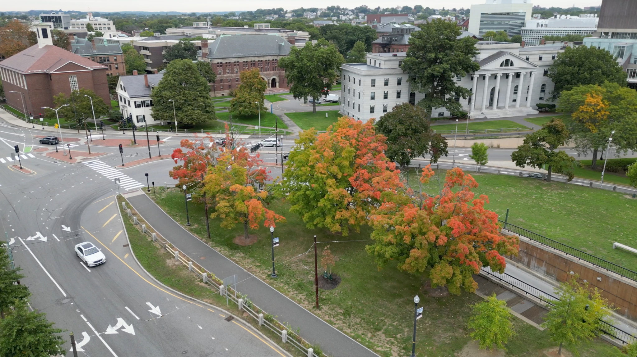 Exploring machine graphs - Quantum Calculus