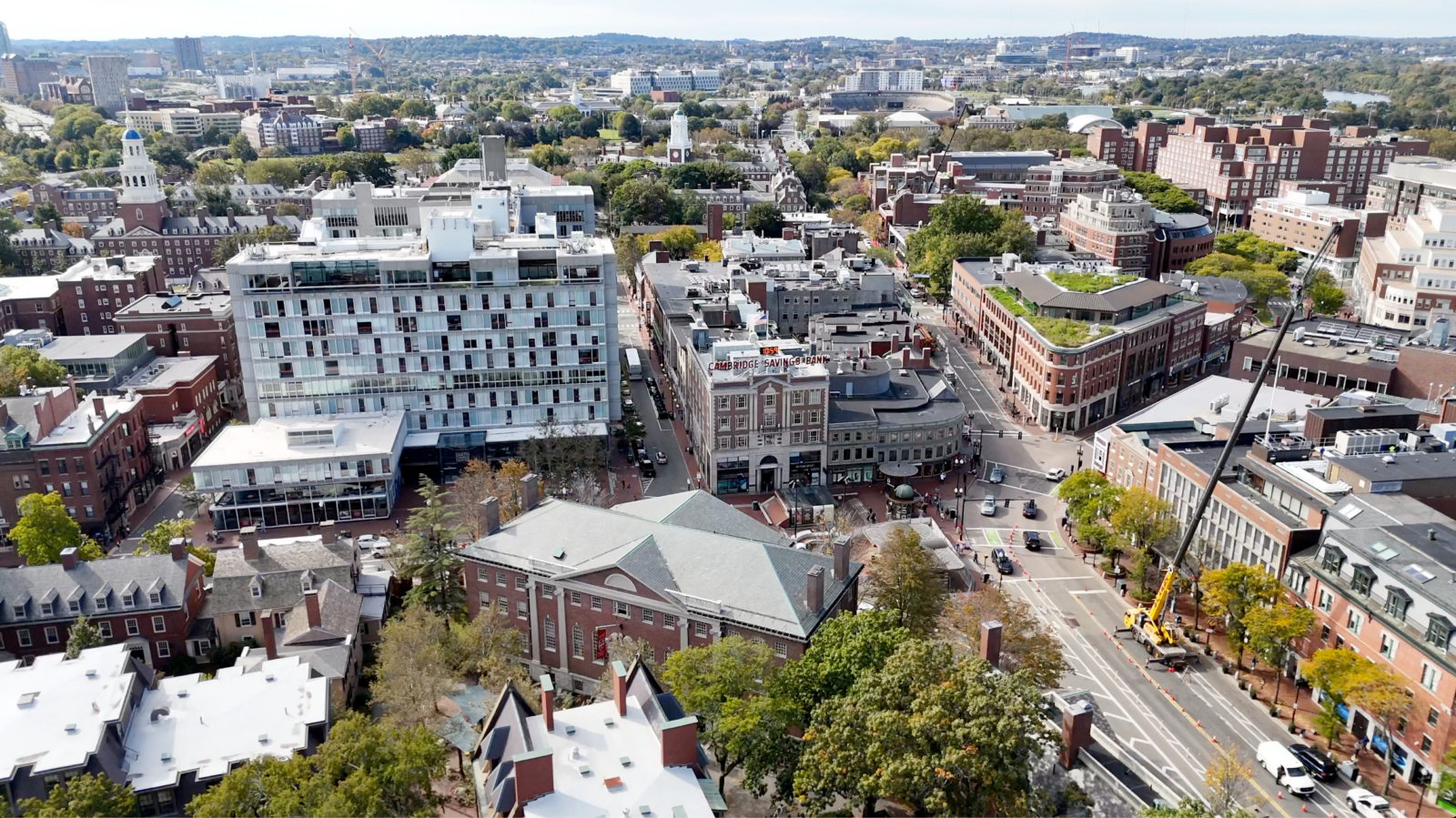 Trees on 3-manifolds - Quantum Calculus