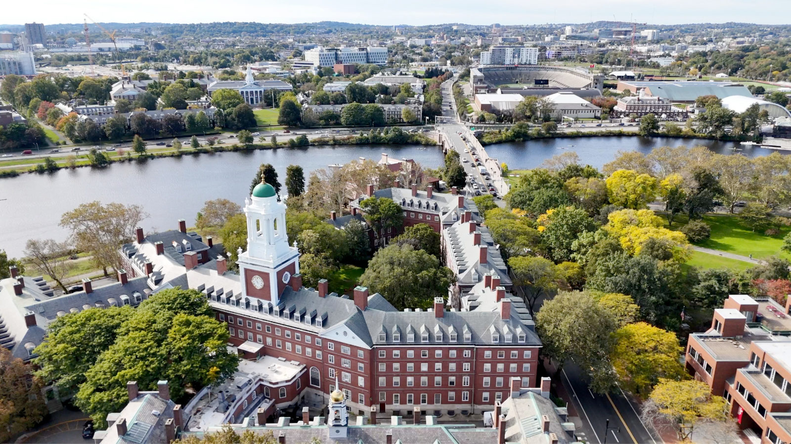 Trees on 3-manifolds - Quantum Calculus