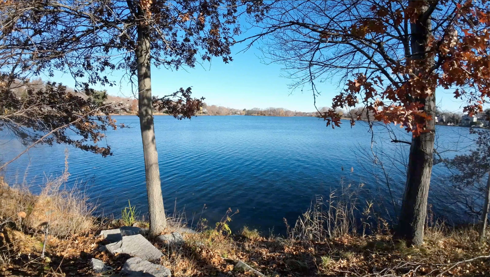 On the Manifold Playground - Quantum Calculus