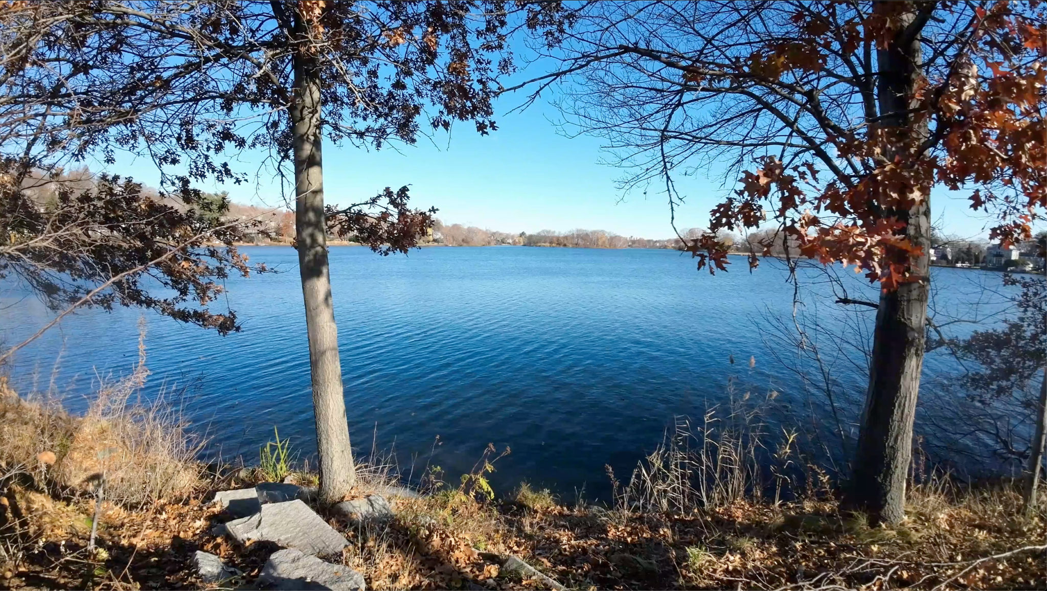 On the Manifold Playground - Quantum Calculus